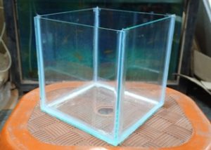 Aquarium Fish Tank (6x6x6) - Navya Aquarium